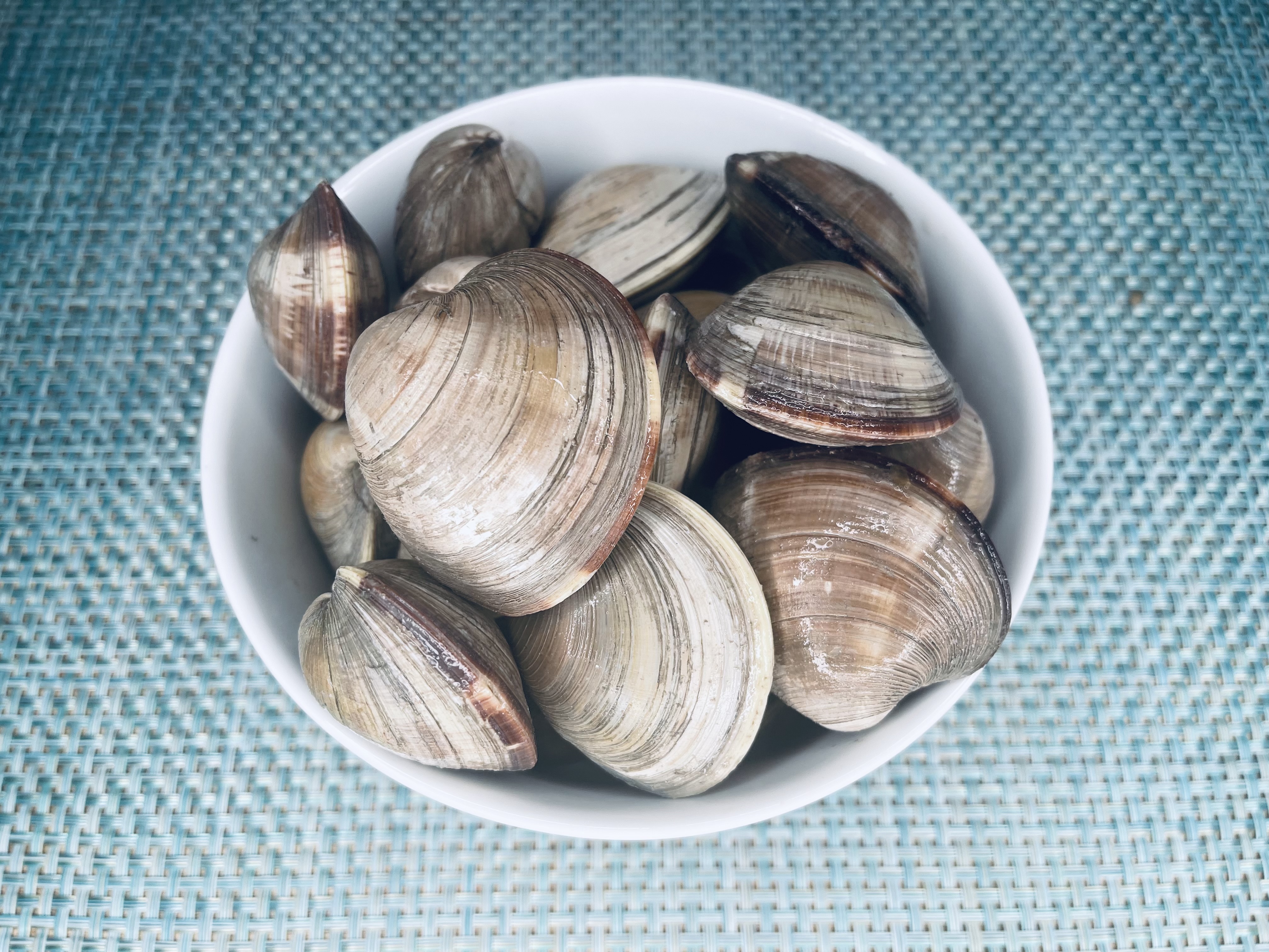 Middle Neck Clams | Fresh, Flavorful, and Perfectly Sized | Crab Dynasty