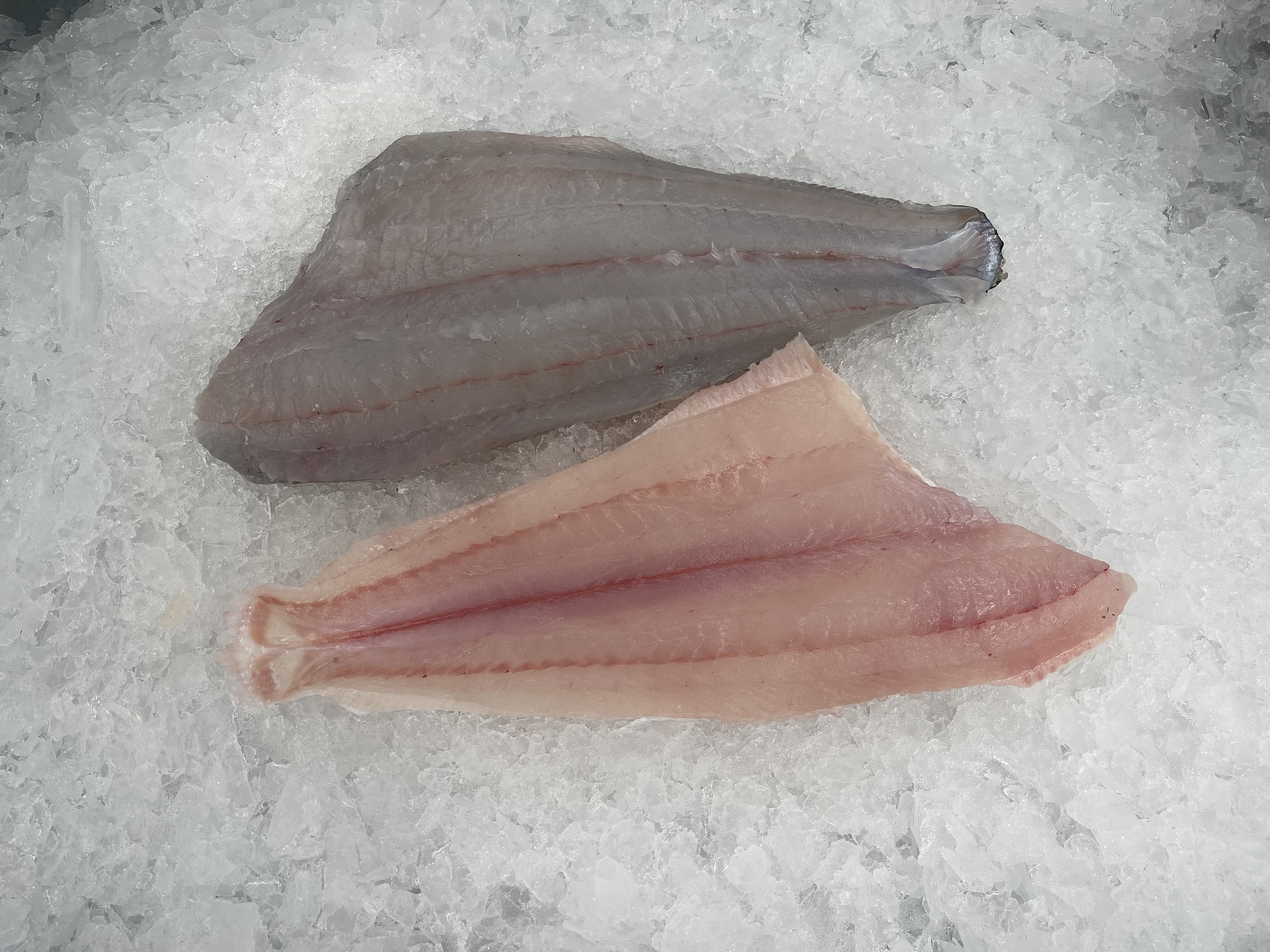 Fresh Flounder Fillet | Mild & Delicate Seafood | Crab Dynasty