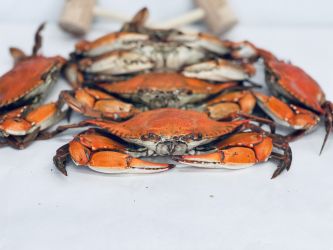 Maryland Steamed Hard Crabs | Best Blue Crabs Shipped to your Door!