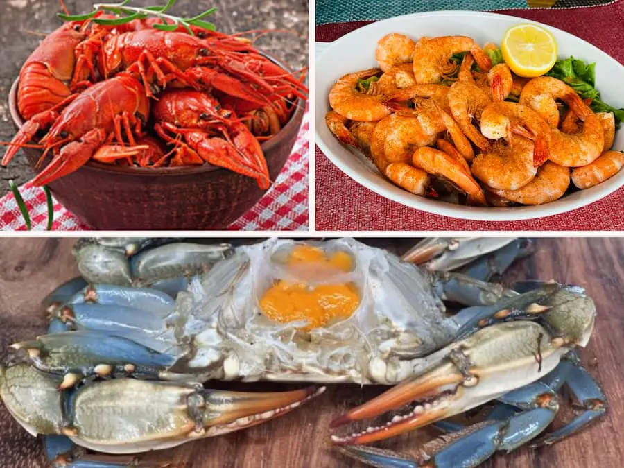 Seafood Gumbo Kit | Seafood Bundles | Crab Dynasty